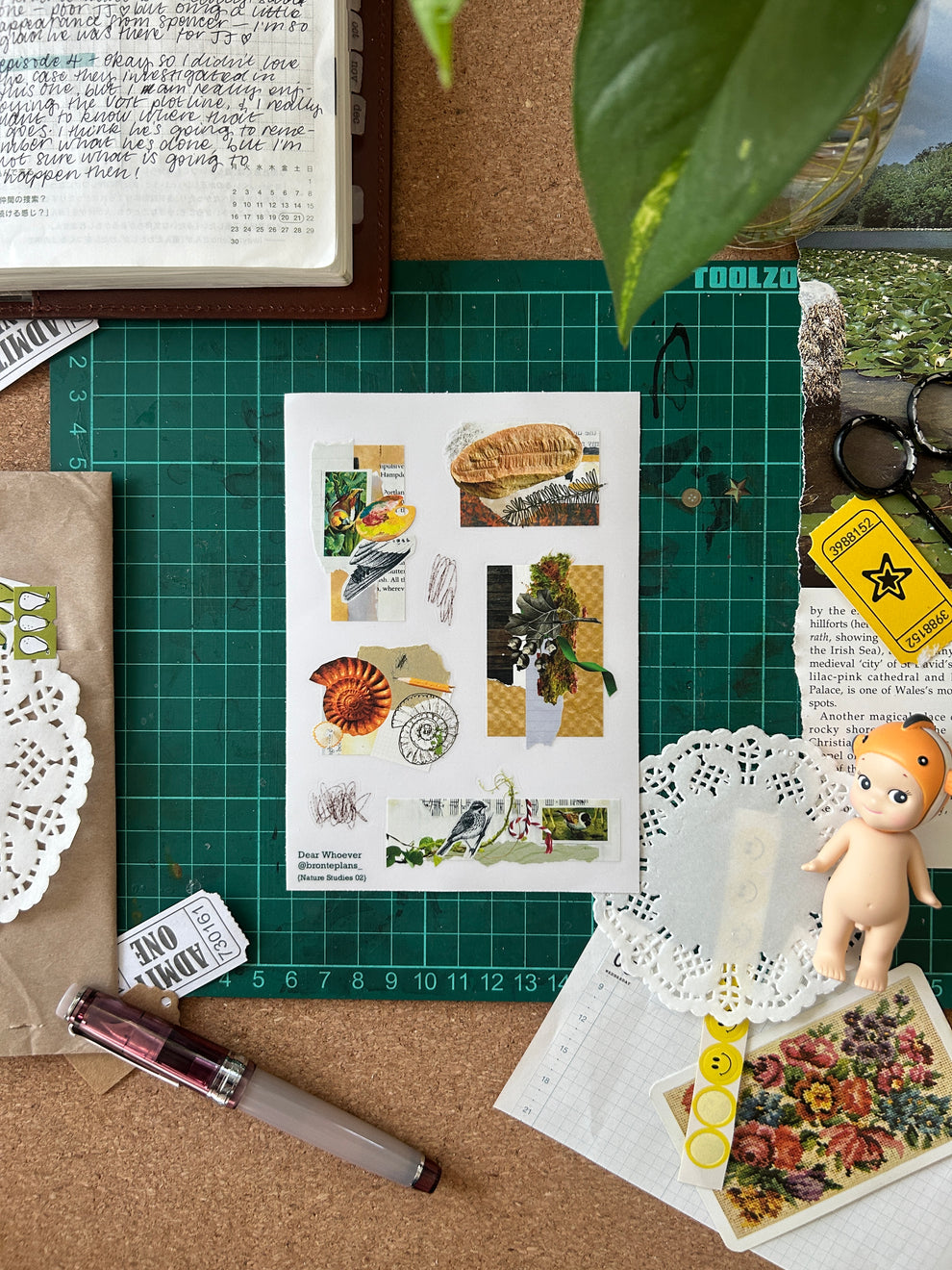 Nature Studies 02 – Dear Whoever